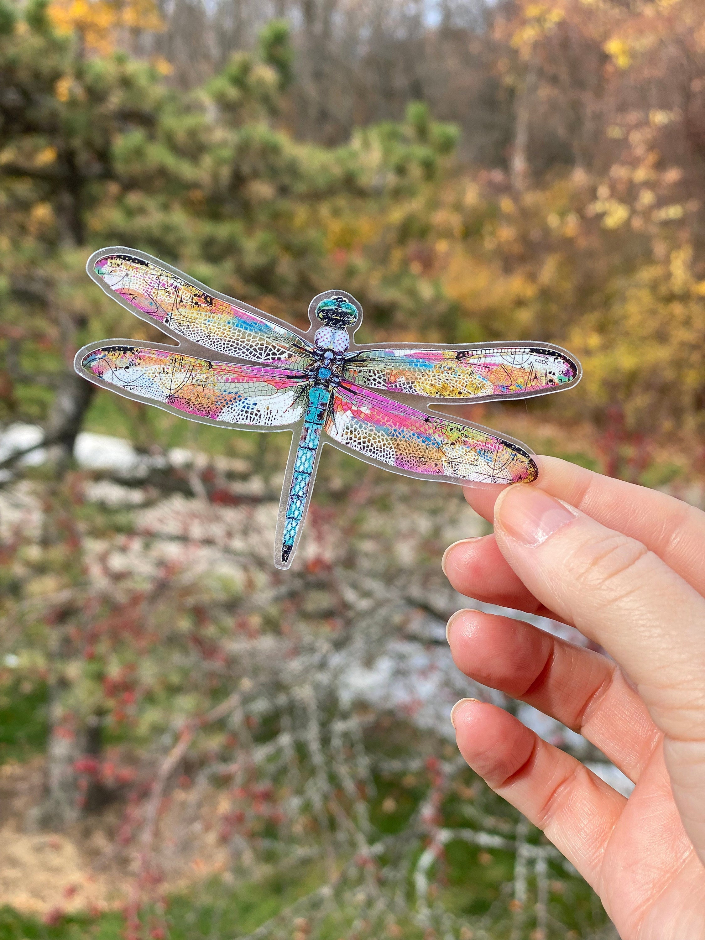 Lace Vibes Dragonfly Sticker Boho Pretty Insect Pretty - Etsy