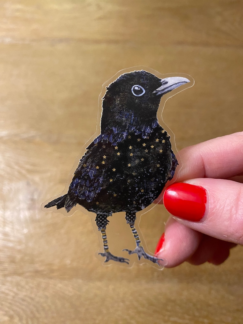 Blackbird Blakely Sticker Rustic Animal Whimsical Stars - Etsy