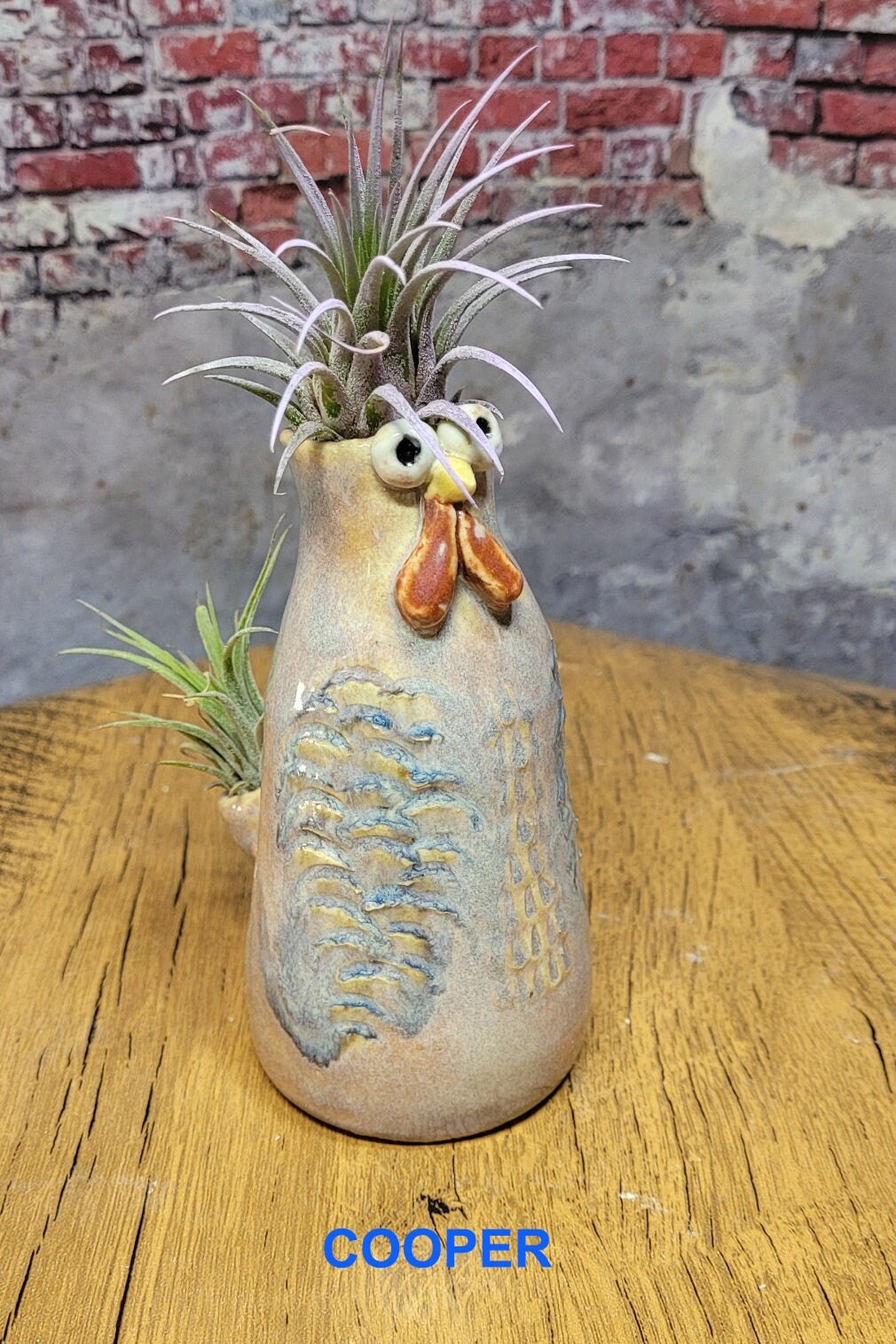 Ceramic Hand Sculpted One-of-a-kind Air Cactus Holders Kiln - Etsy