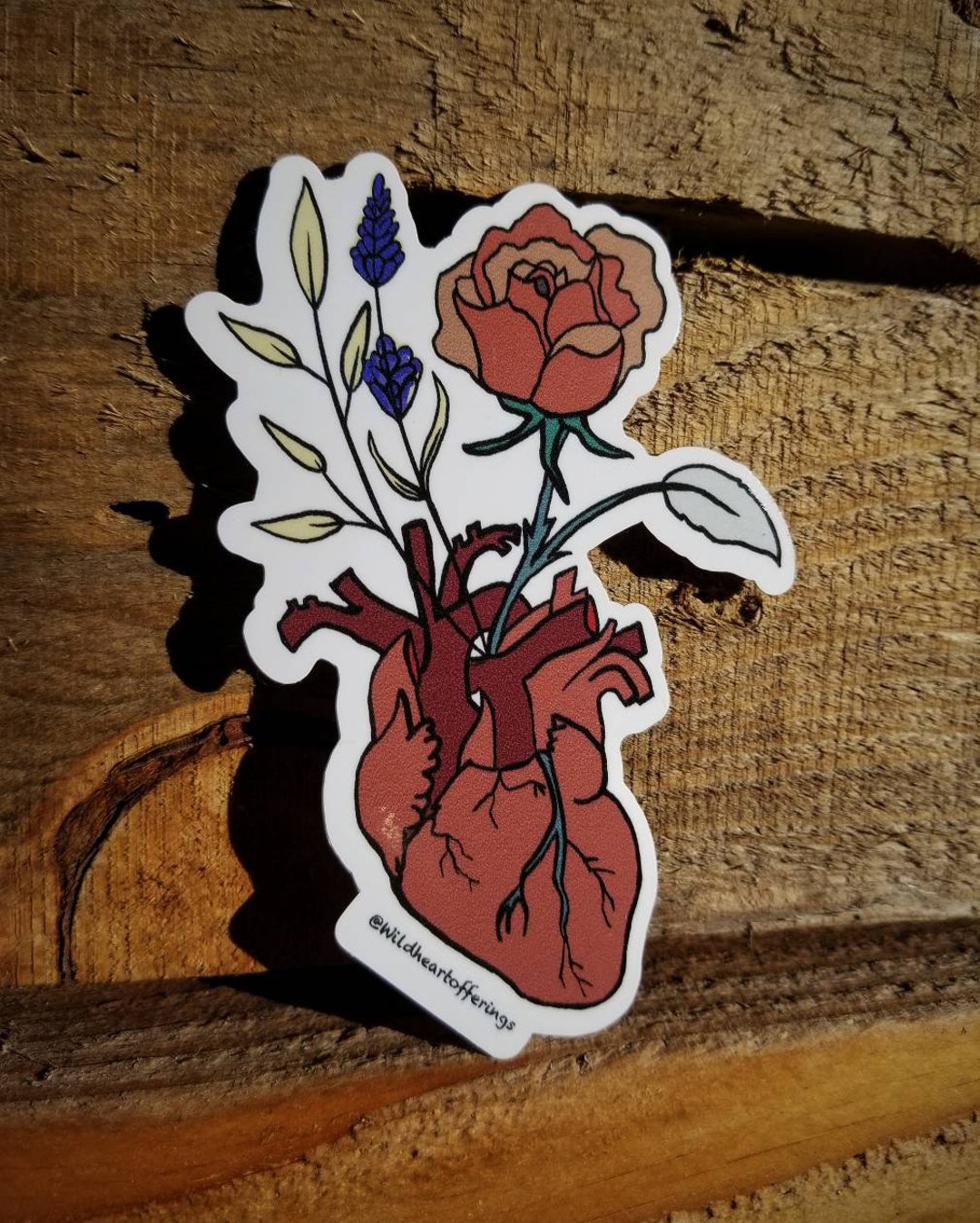 Wild Heart Sticker anatomical Heart With Flowers - Etsy UK