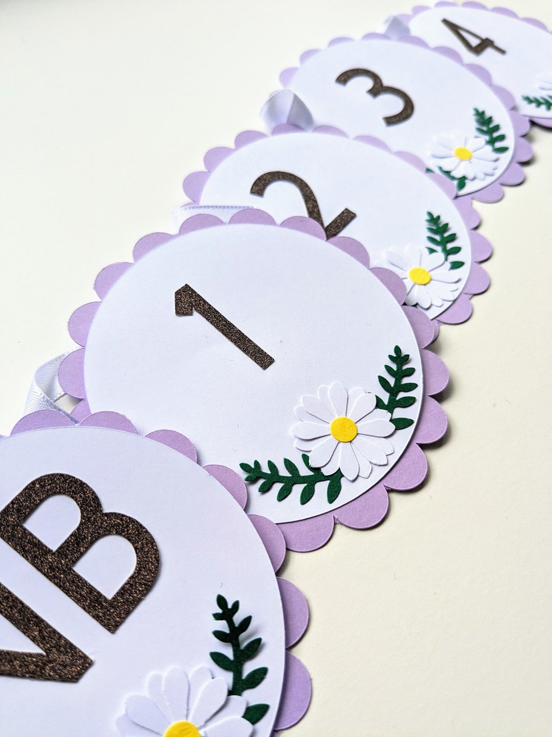 New-born Bunting First Birthday Banner New-born Banner Monthly Photo ...