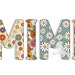 Retro Mimi PNG, Floral Mimi Shirt Design, Mother Day PNG, Mimi PNG ...