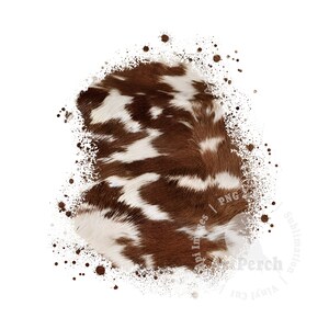 Cowhide Patch PNG, Bundle of 5 Pngs, Cowhide Shirt Design, Animal Print ...