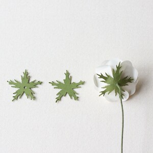 Paper Flower Sepal Template Stemming Base Leaf for Small or Rolled ...