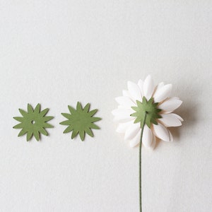 Paper Flower Sepal Template Stemming Base Leaf for Small or Rolled ...