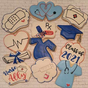 Nursing Graduation Cookies, Nursing School Cookies, Medical School ...
