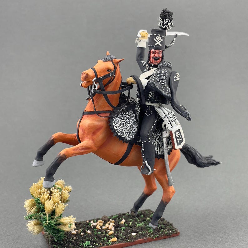 French Hussars of the Death, Napoleonic Military Figure 1/30 Scale ...