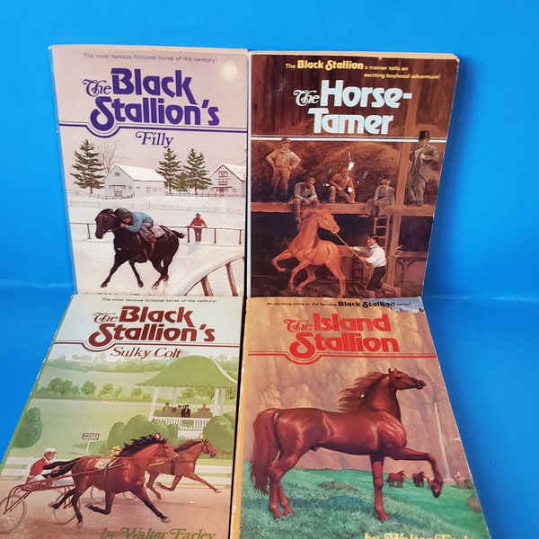 The Black Stallion - Etsy