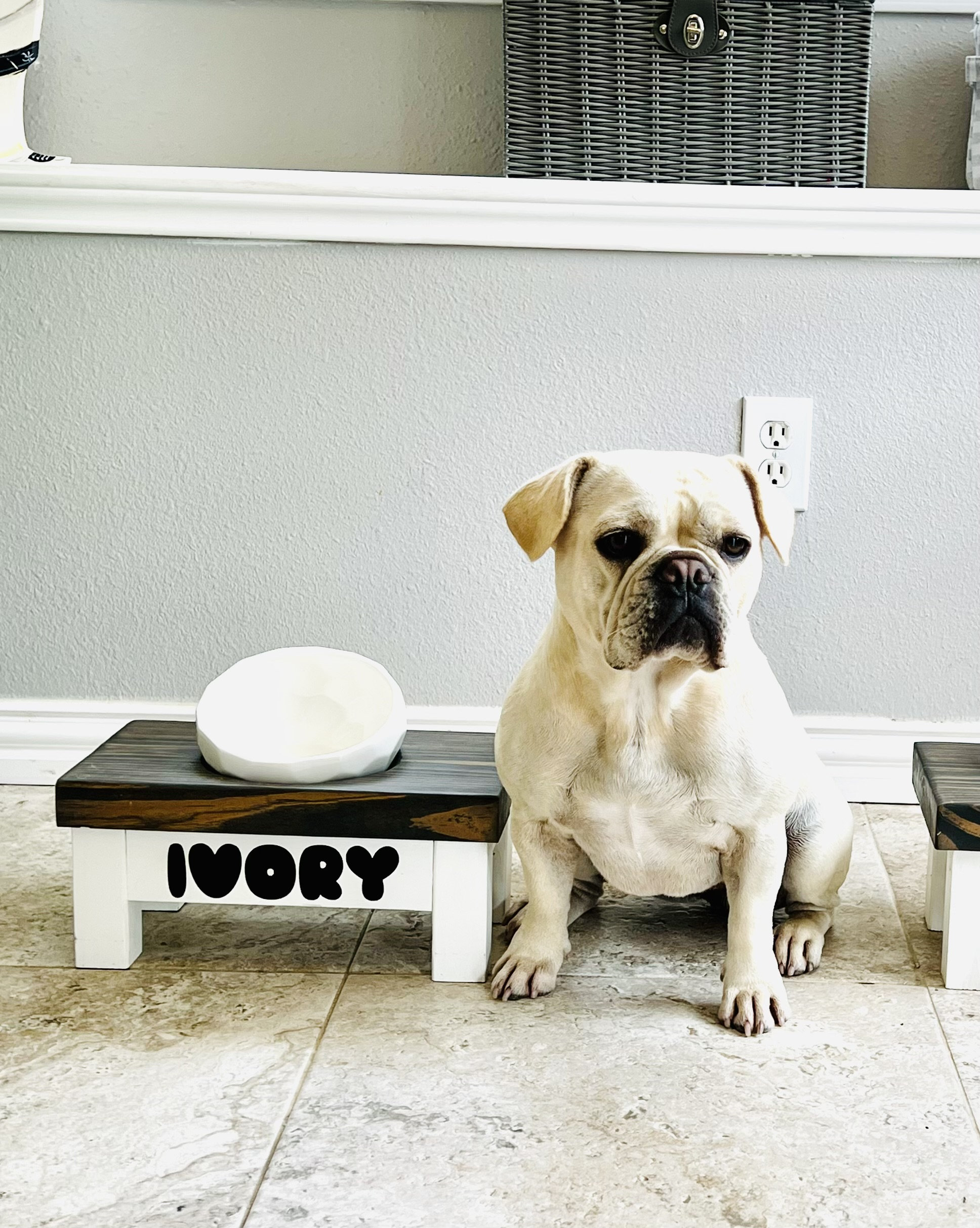 Dog Food Stand Farmhouse Style **custom and Personalized** - Etsy