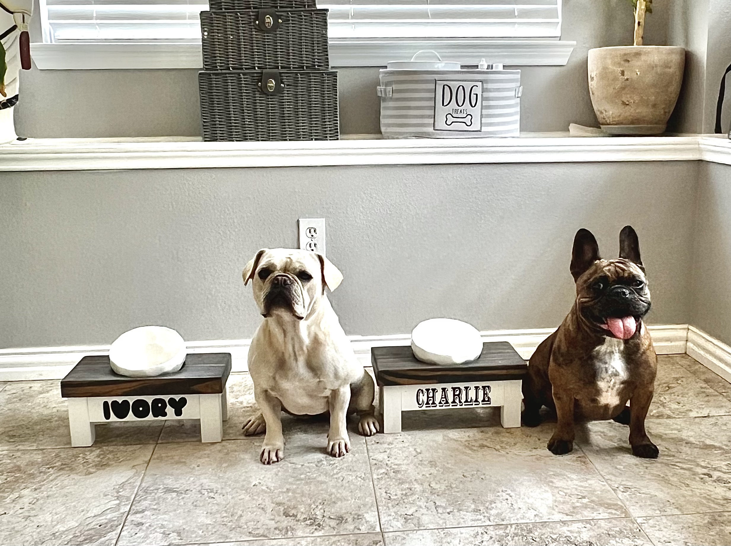 Dog Food Stand Farmhouse Style **custom and Personalized** - Etsy