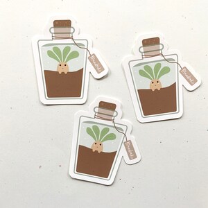 Mandrake Bottle Sticker Mandrake Stickers Plant Lover Gift - Etsy