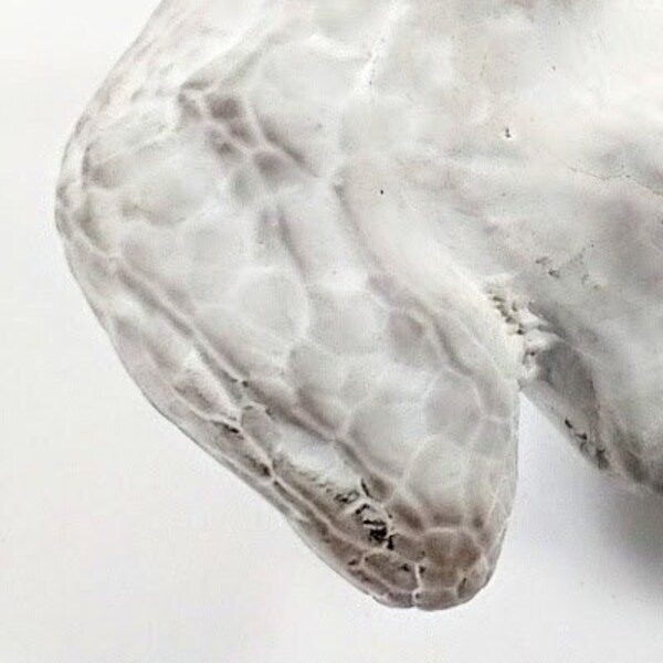 Snakeskin Agate - Etsy