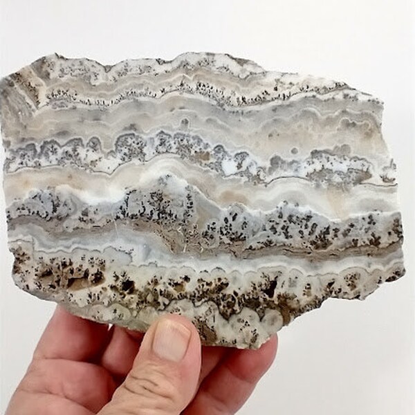 Silver Lace Onyx - Etsy