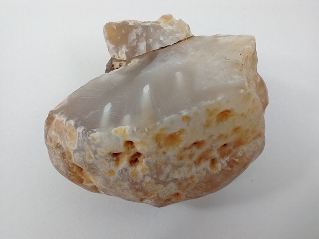 RARE! Central Oregon Tube Agate Slab, End Cut Ochoco Agate Rough - Etsy