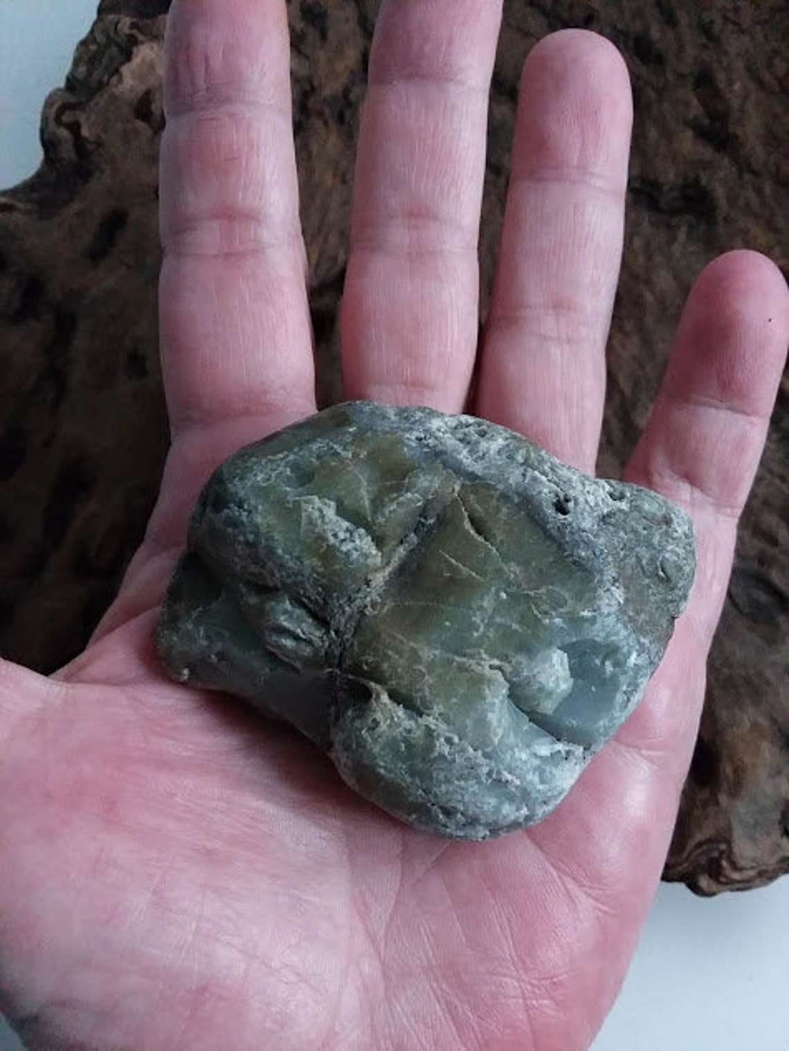 S. Oregon Common Opal 100 grams Oregon Green Opal Natural | Etsy