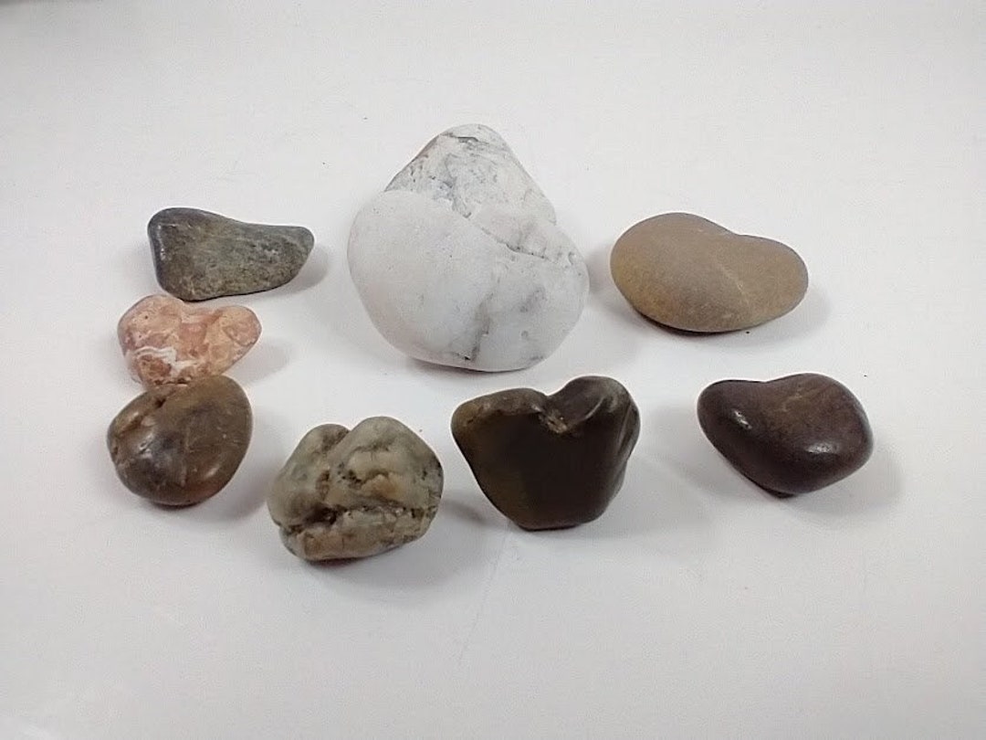 Oregon Coast Itty Bitty Teeny Tiny Collection of Heart Rocks, Hand ...