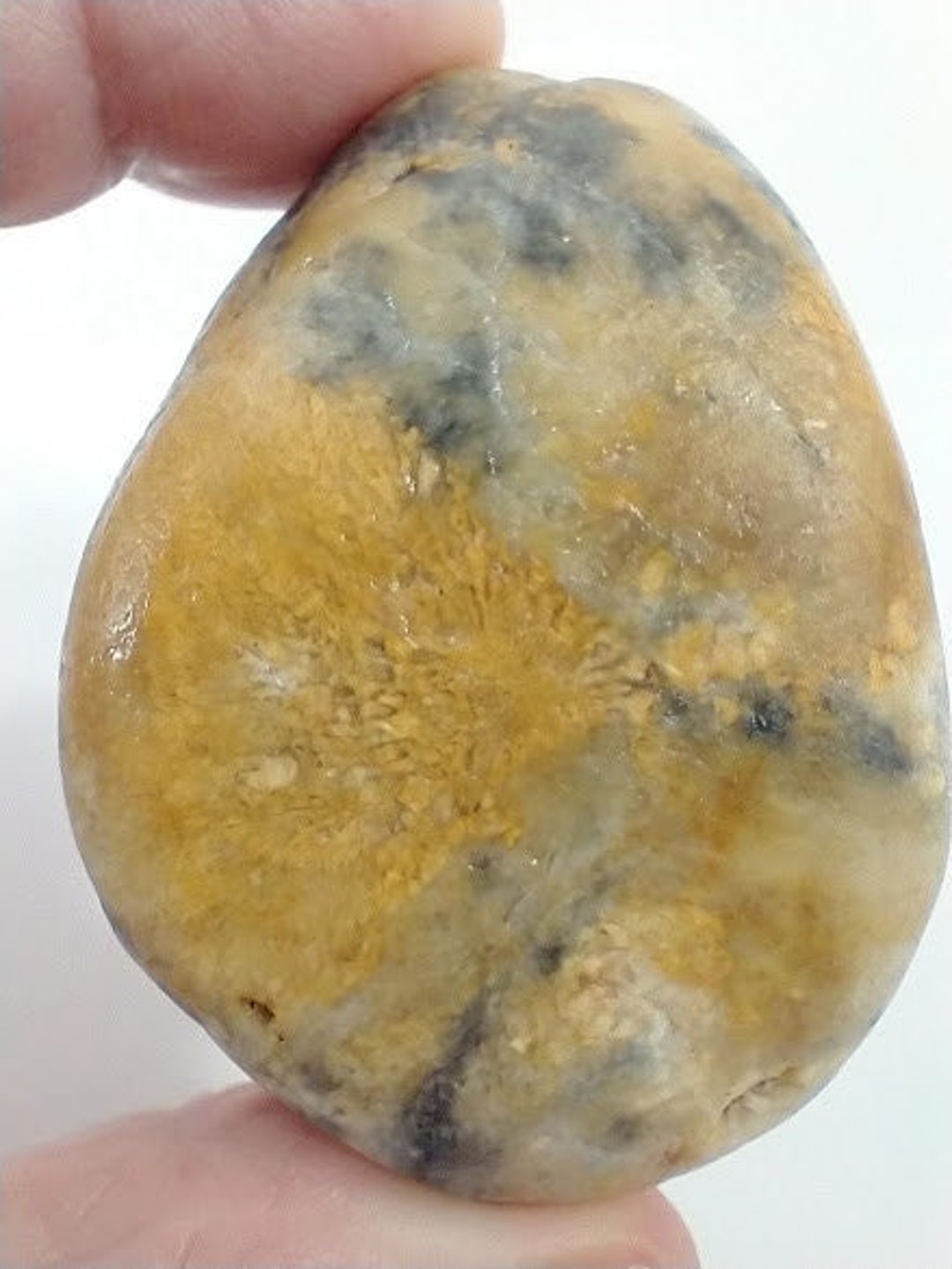 Oregon Coast Agate, Beach Agate Stone, Plumes, Unpolished, Raw Beach ...