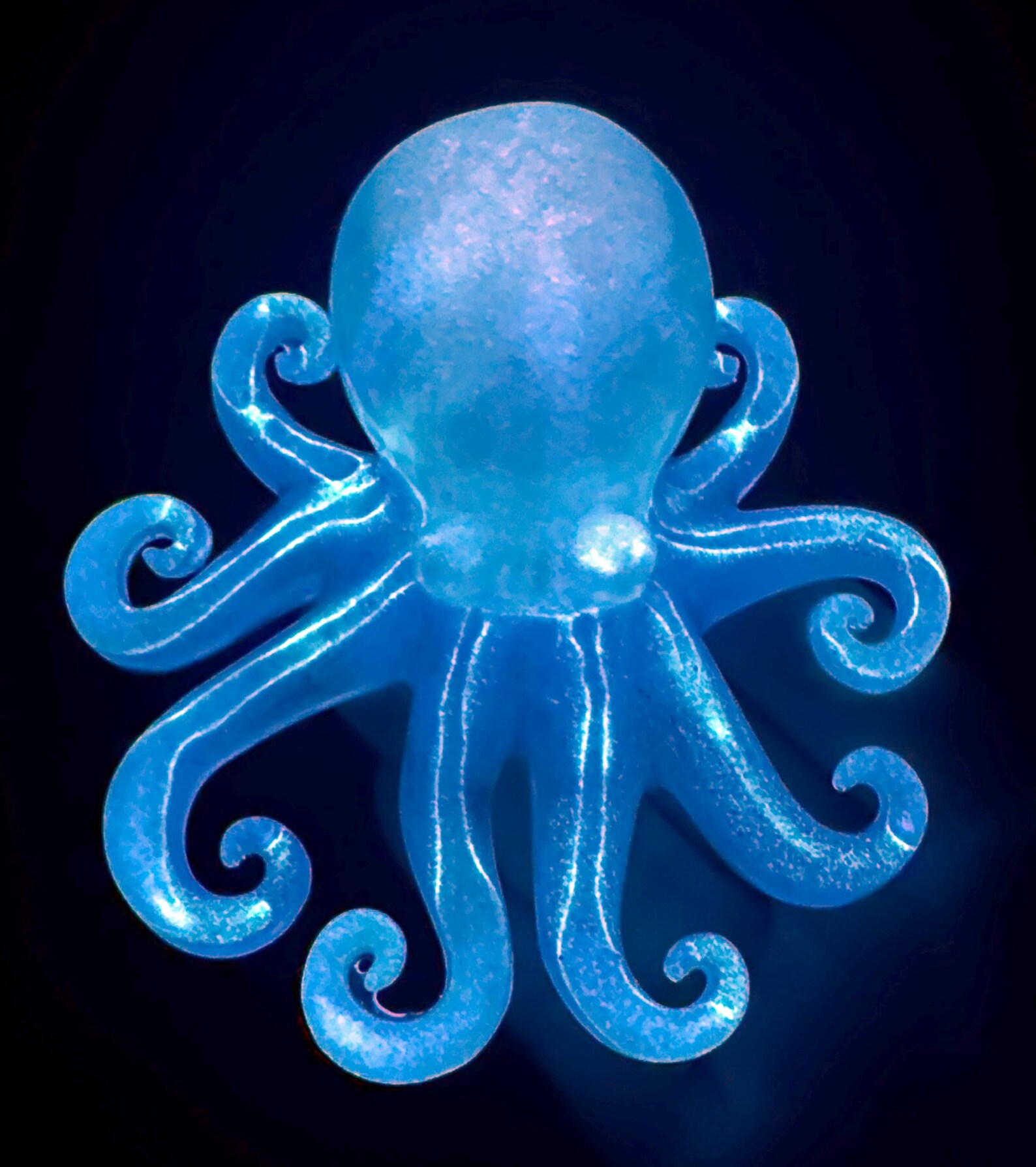 Glow in the Dark Octopus Skeleton Resin Sculpture: Ocean Theme Desk ...