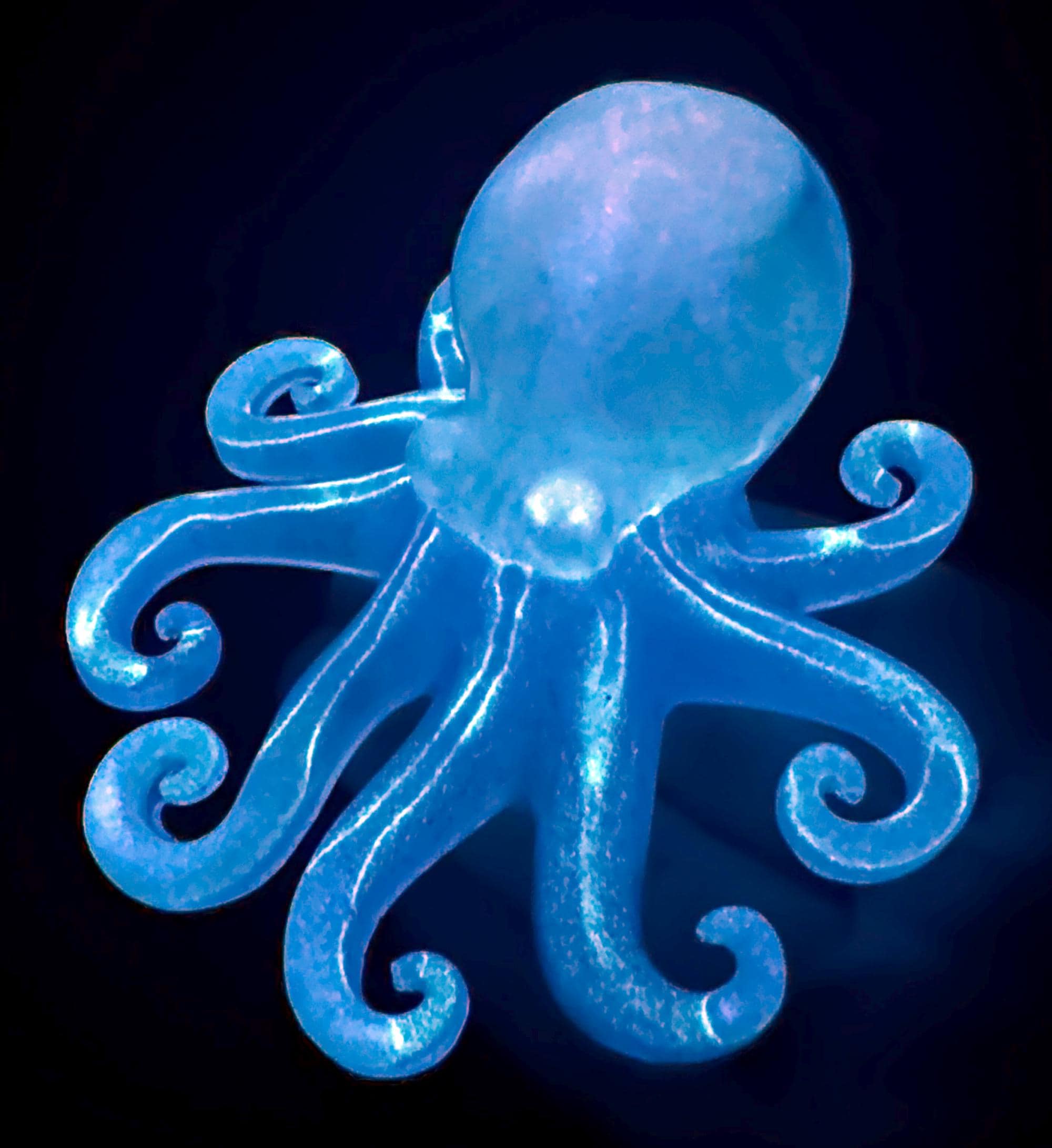 Glow in the Dark Octopus Skeleton Resin Sculpture: Ocean Theme Desk ...