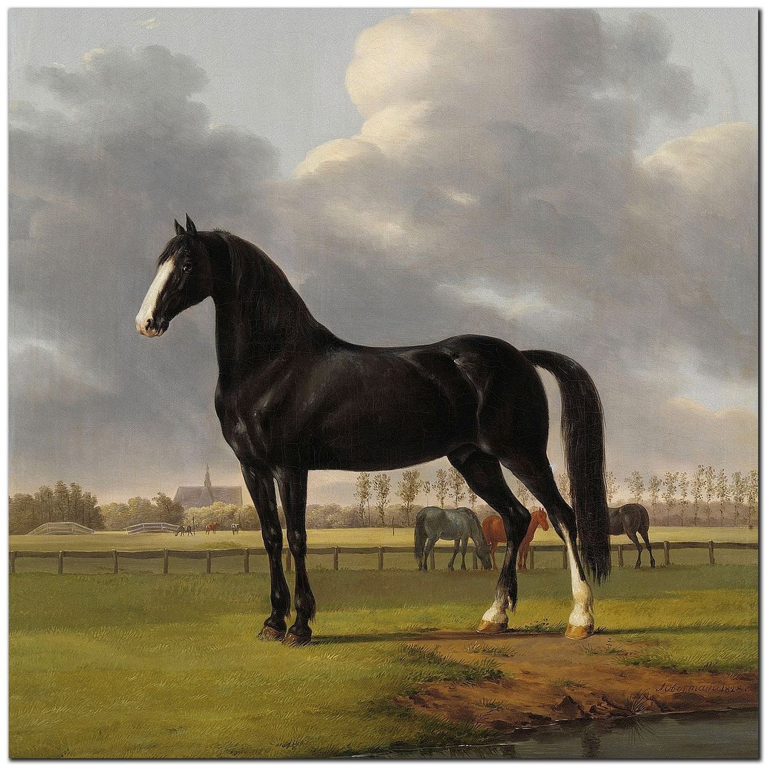 Anthony Oberman 'the Fast One, 1828 ' Canvas Wall Horse Artwork (24 in ...
