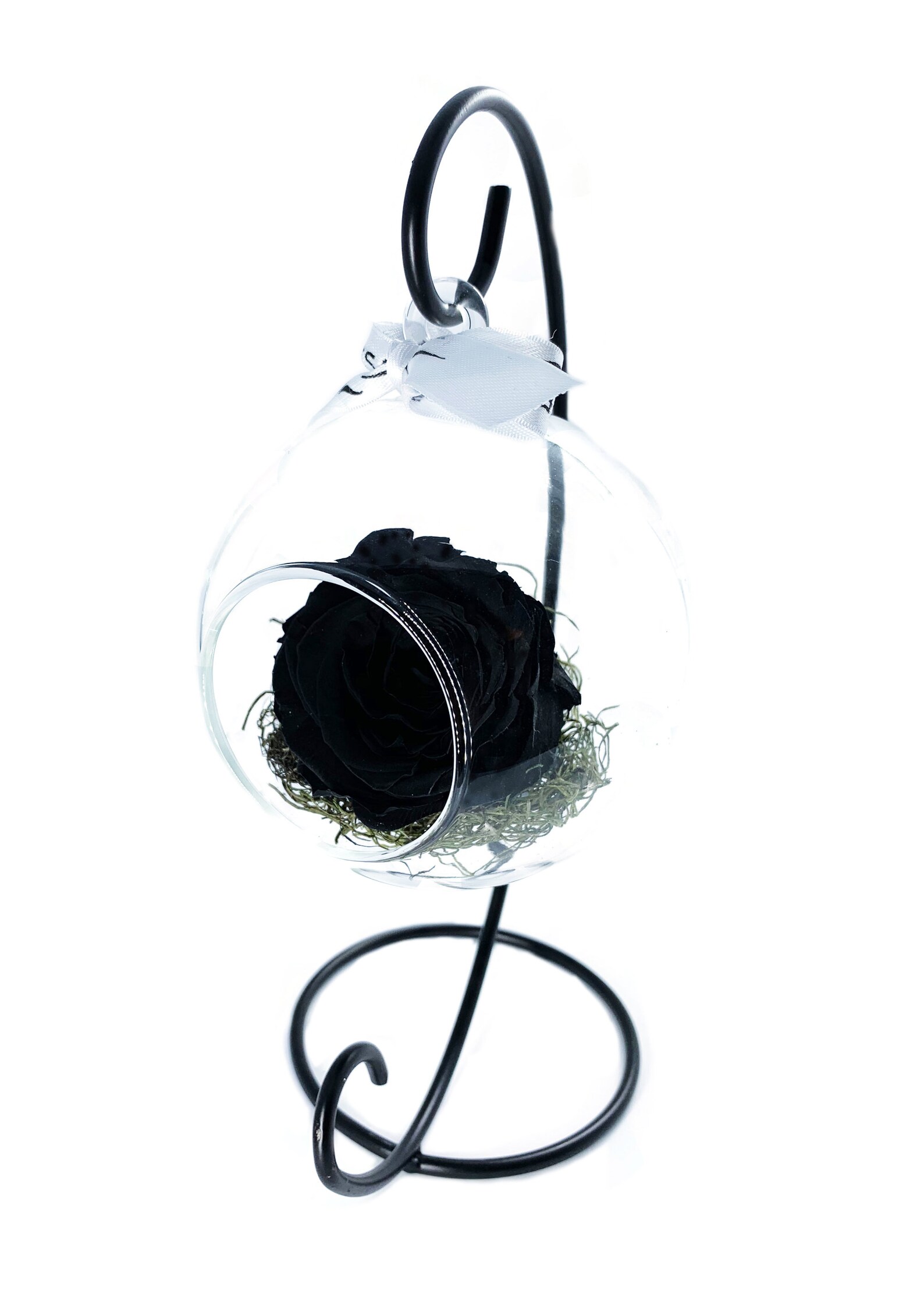 Preserved Rose Swinging Glass Globe - Etsy