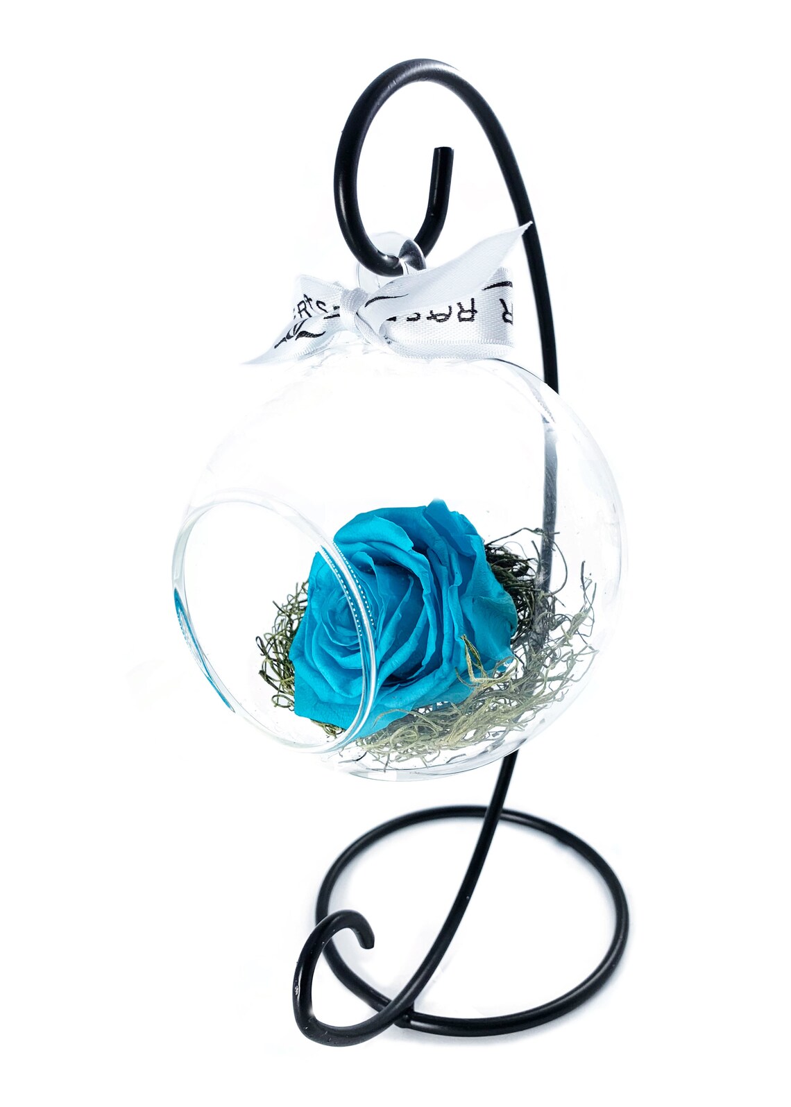 Preserved Rose Swinging Glass Globe - Etsy