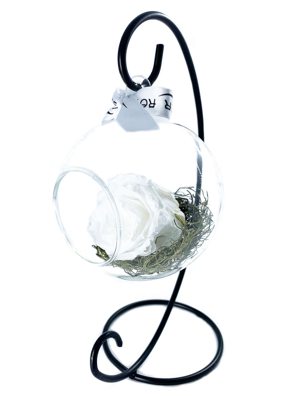 Preserved Rose Swinging Glass Globe - Etsy