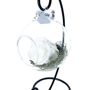 Preserved Rose Swinging Glass Globe - Etsy