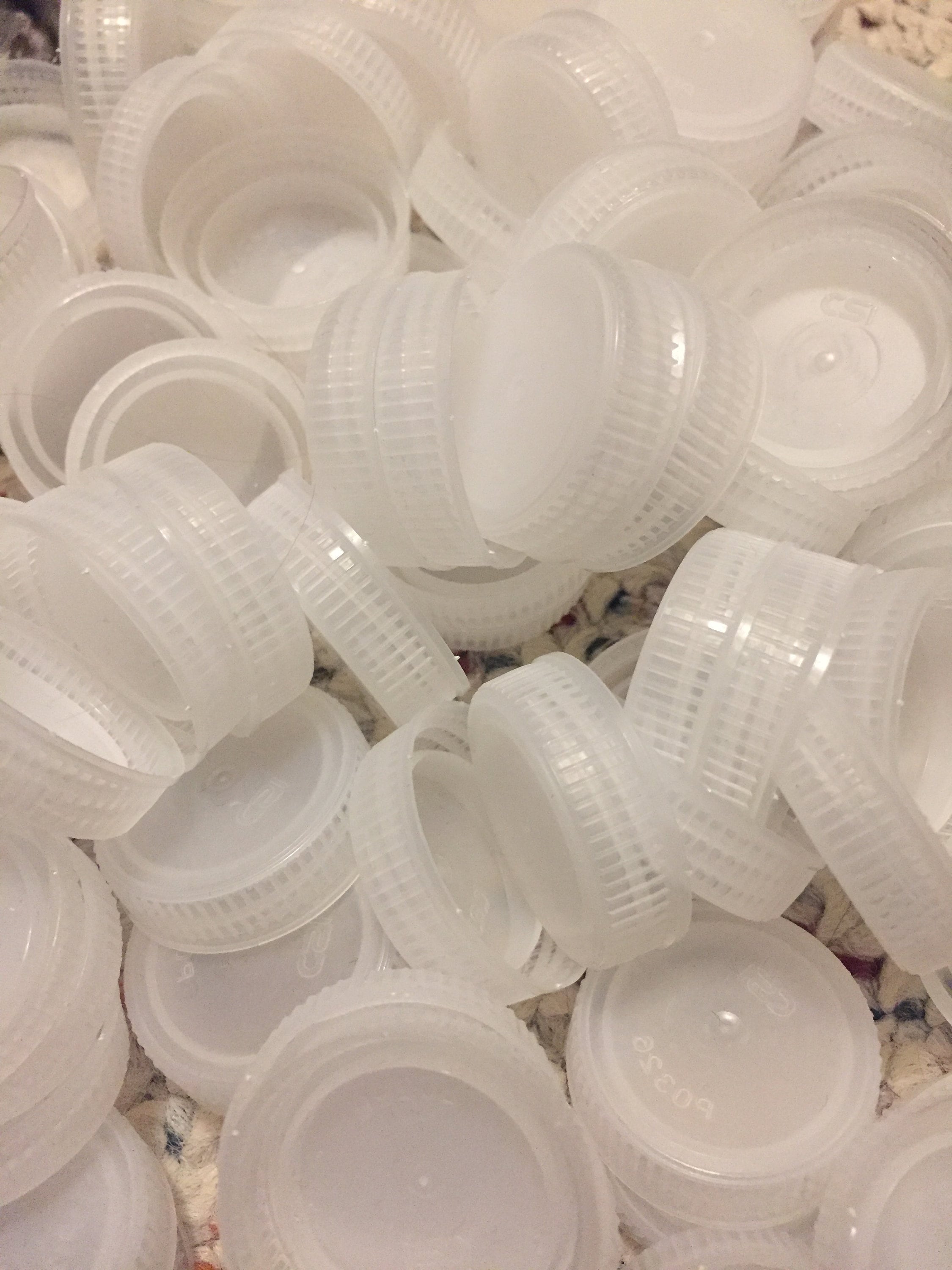 100 Plastic Water Bottle Lids - Identical - Clean - Ozarka Brand - Etsy