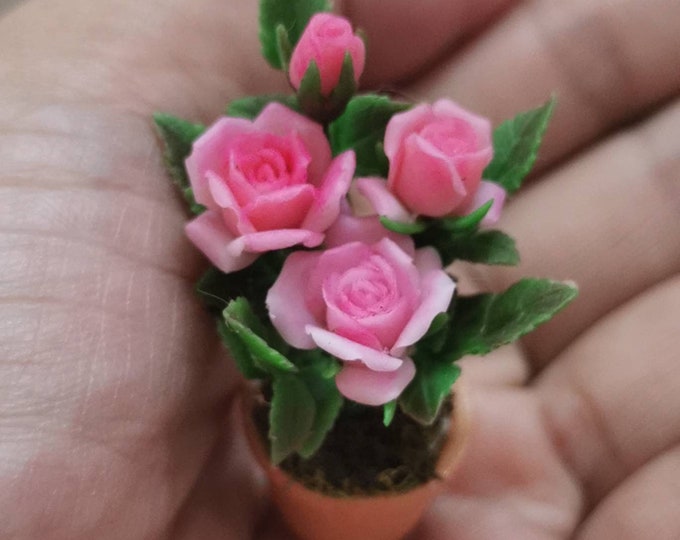 Miniature Pink With Pink Border Color Rose Flower Pot, Mini Flower Pots ...