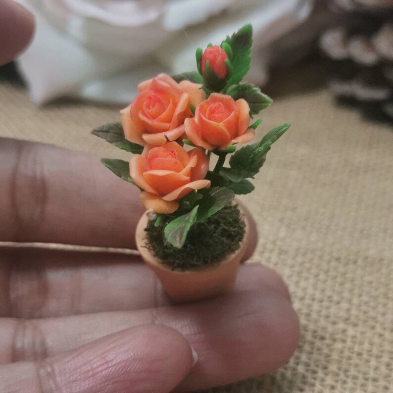 Miniature Coral Color Rose Flower Pot Mini Flower - Etsy