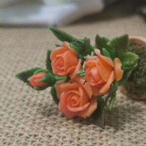 Miniature Coral Color Rose Flower Pot, Mini Flower Pots,miniature ...