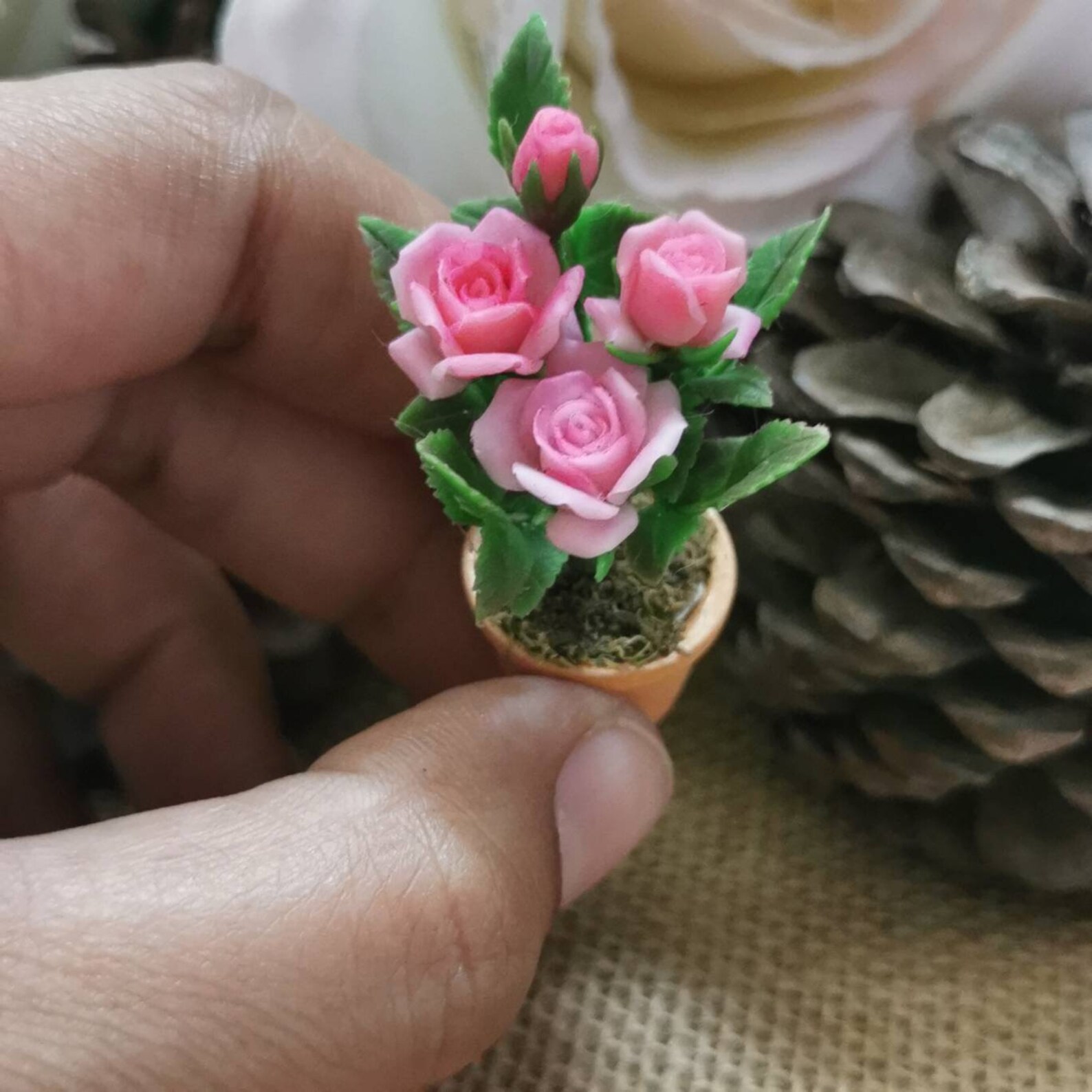 Miniature Pink With Pink Border Color Rose Flower Pot Mini | Etsy