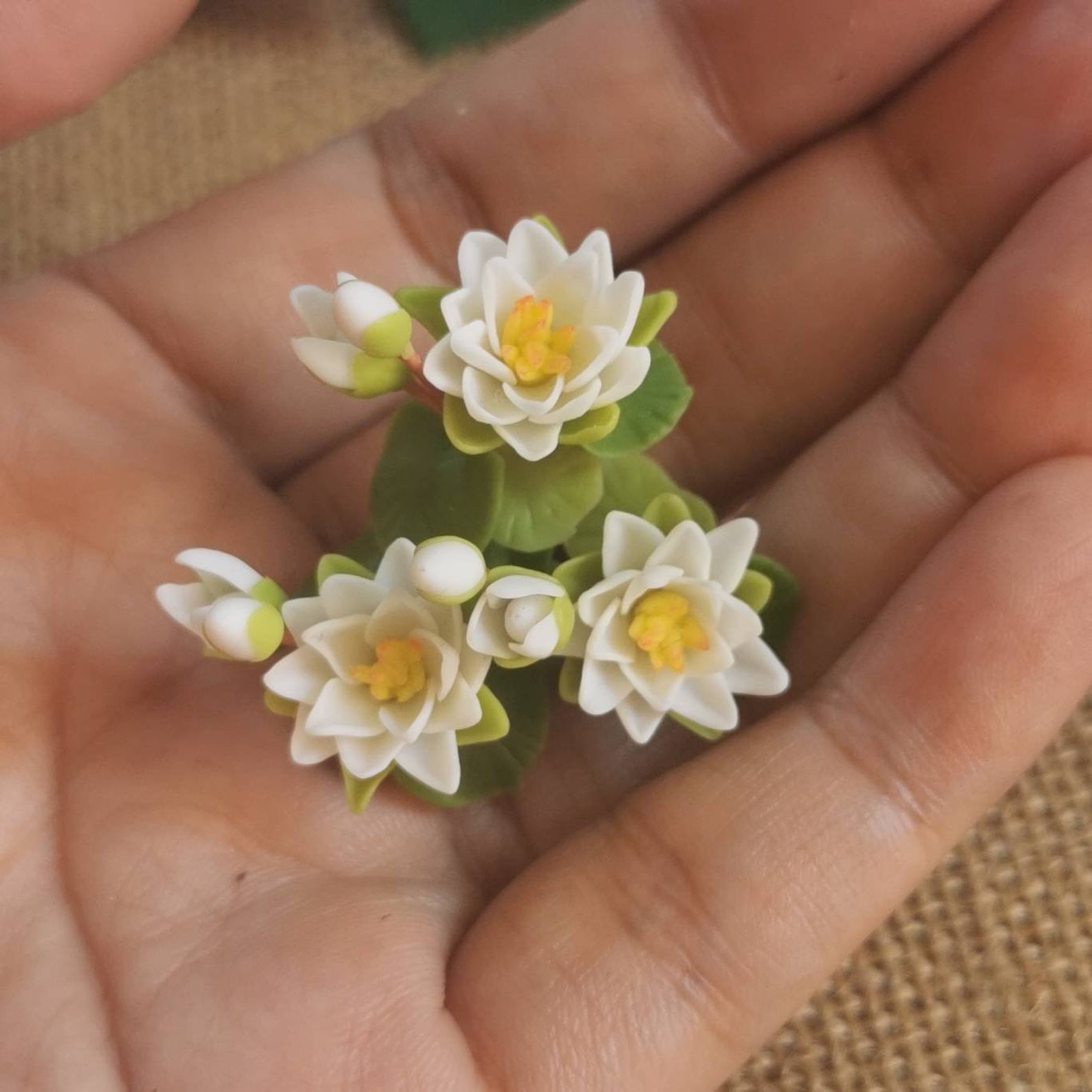 Miniature Water Lily Flower Bunch of Flowersminiature White - Etsy