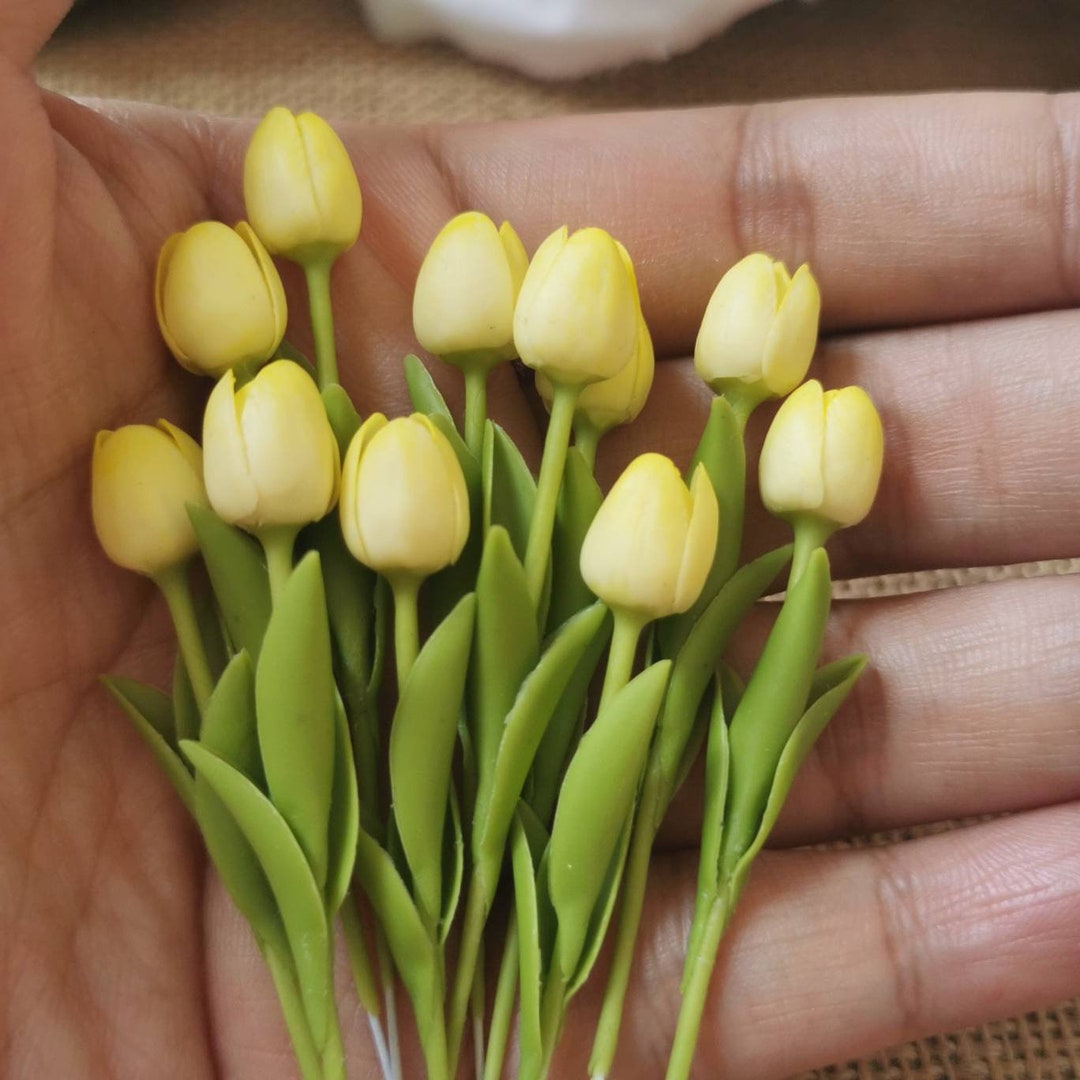 Mini Tulip Bunch of Flowers, Miniature Light Yellow Flower,mini ...