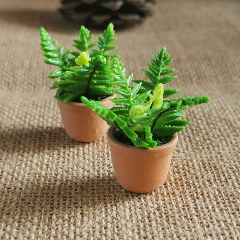 2 Miniature Dollhouse Green Boston Fern Plants miniature - Etsy