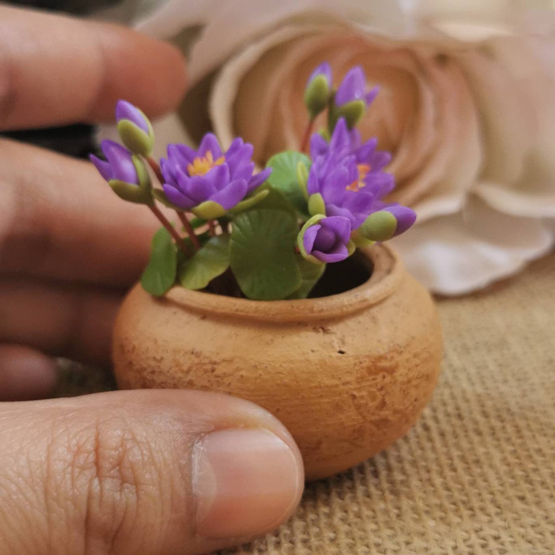 Miniature Water Lily Flower Bunch of Flowersminiature Purple - Etsy