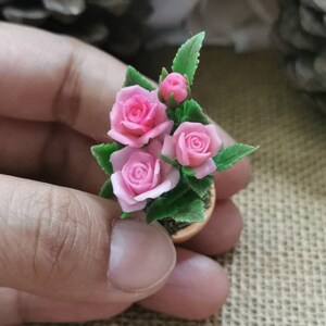 Miniature Pink With Pink Border Color Rose Flower Pot Mini | Etsy