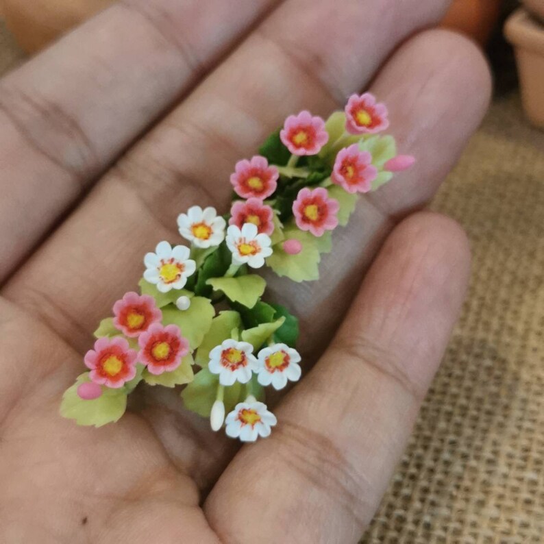 Maceta de gazania en miniatura para casa de muñecas: ramo de arcilla ...