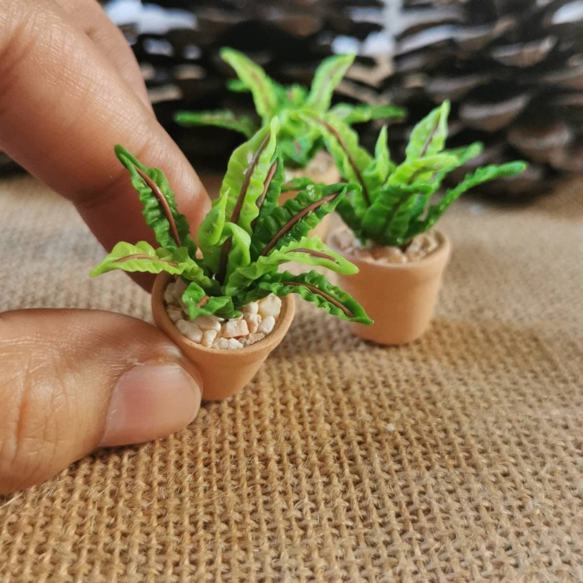 3 Miniature Green Fern Plant mini Plant Pots miniature | Etsy