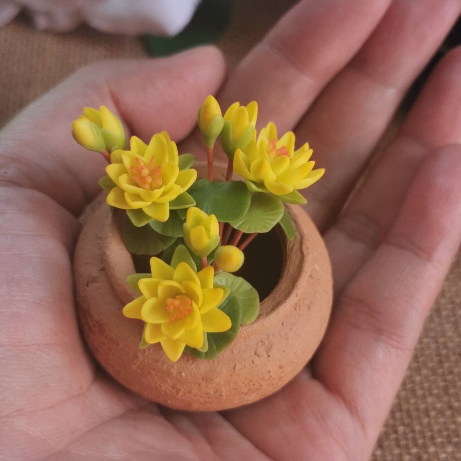 Miniature Water Lily Flower Bunch of Flowersminiature Yellow - Etsy