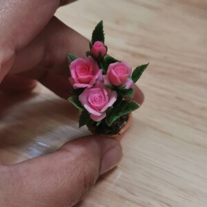 Miniature Pink With Pink Border Color Rose Flower Pot Mini | Etsy