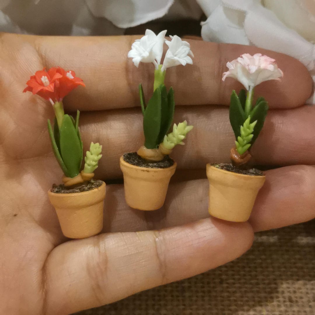 Miniature Dollhouse Amaryllis Flower: Handmade Clay Plant in Terracotta ...