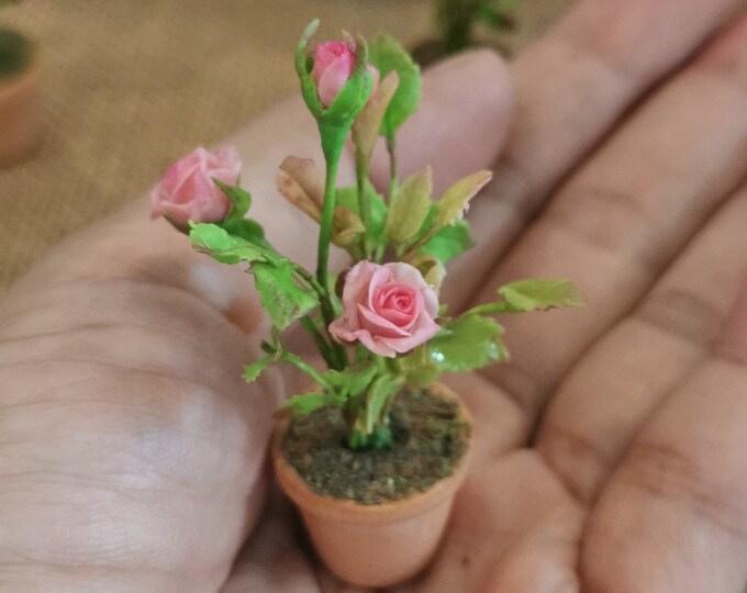 Miniature Light Pink Color Rose Flower Pot, Miniature Flower Pots ...