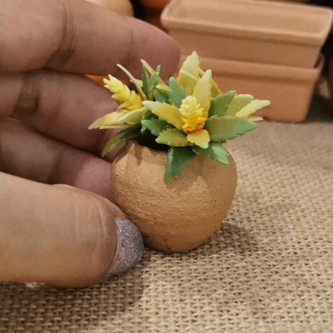 Miniature Dollhouse Bromeliad: Handmade Clay Tropical Plant Decor - Etsy