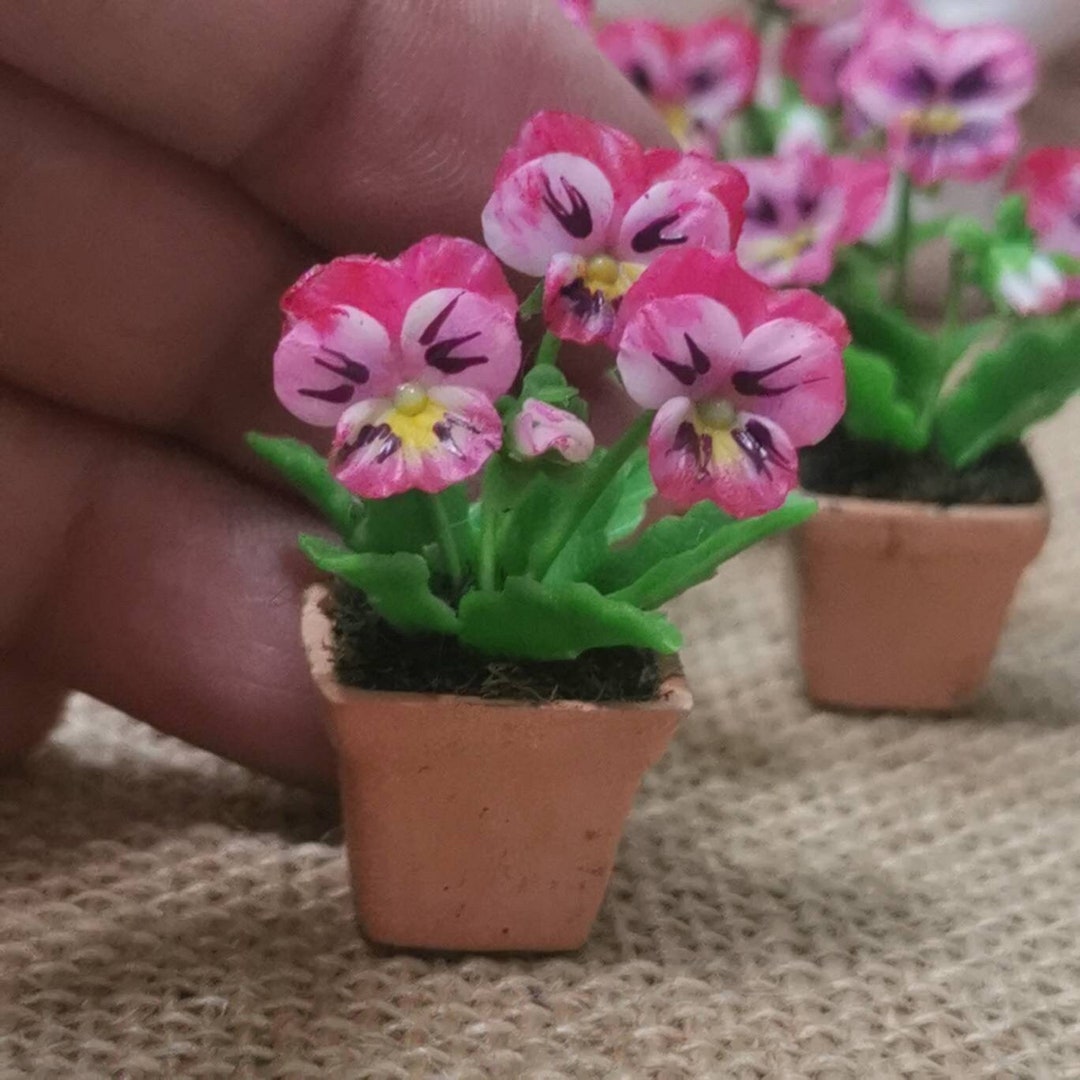Miniature Pink and White Color Pansy Flower Pot, Mini Flower Pots ...
