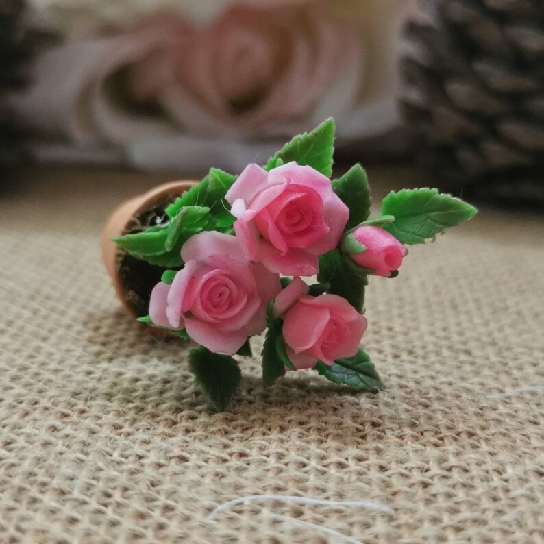Miniature Pink With Pink Border Color Rose Flower Pot Mini | Etsy