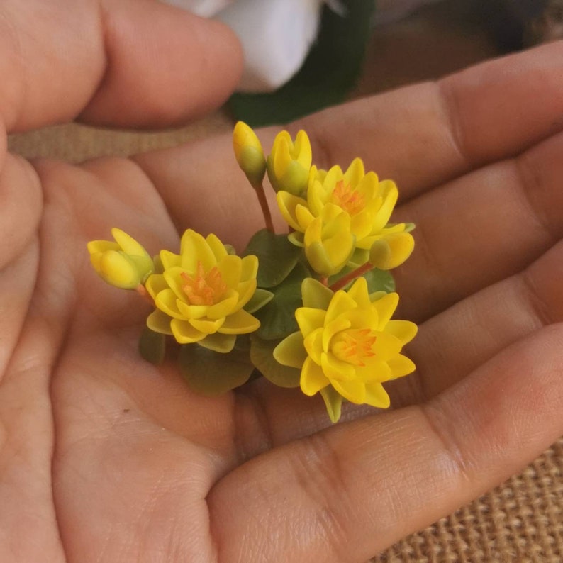 Miniature Water Lily Flower Bunch of Flowersminiature Yellow - Etsy