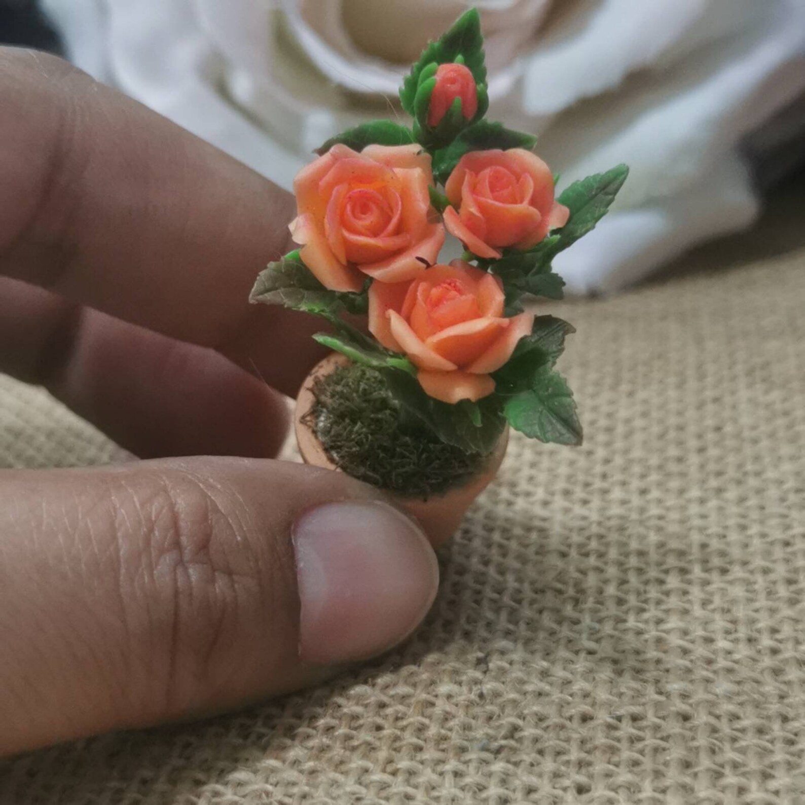 Miniature Coral Color Rose Flower Pot Mini Flower - Etsy