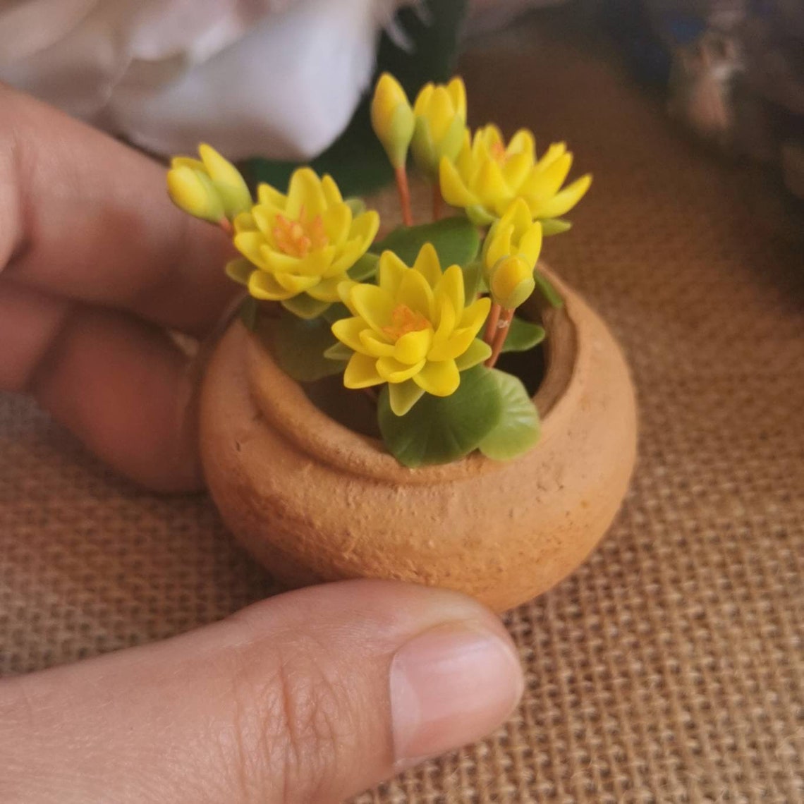 Miniature Water Lily Flower Bunch of Flowersminiature Yellow - Etsy